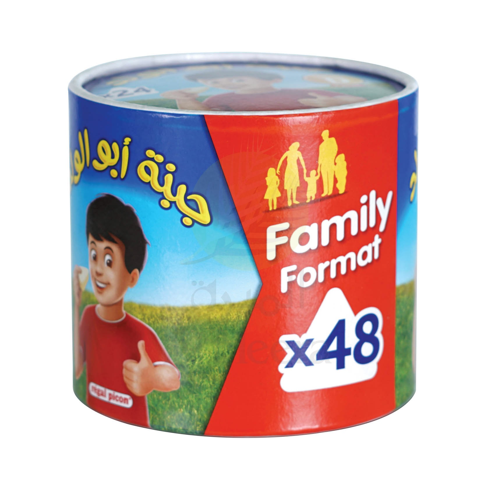 REGAL PICON 48POR CHEESE 720G