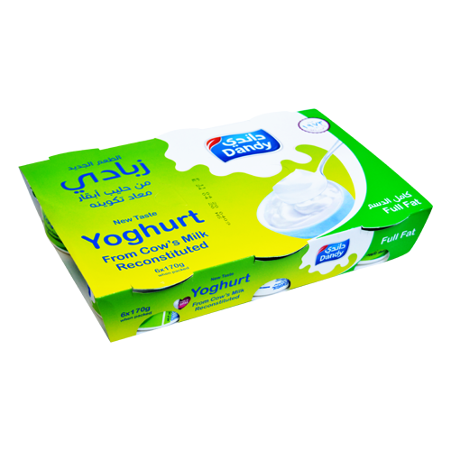 DANDY YOGURT NEW TASTE 170GX6