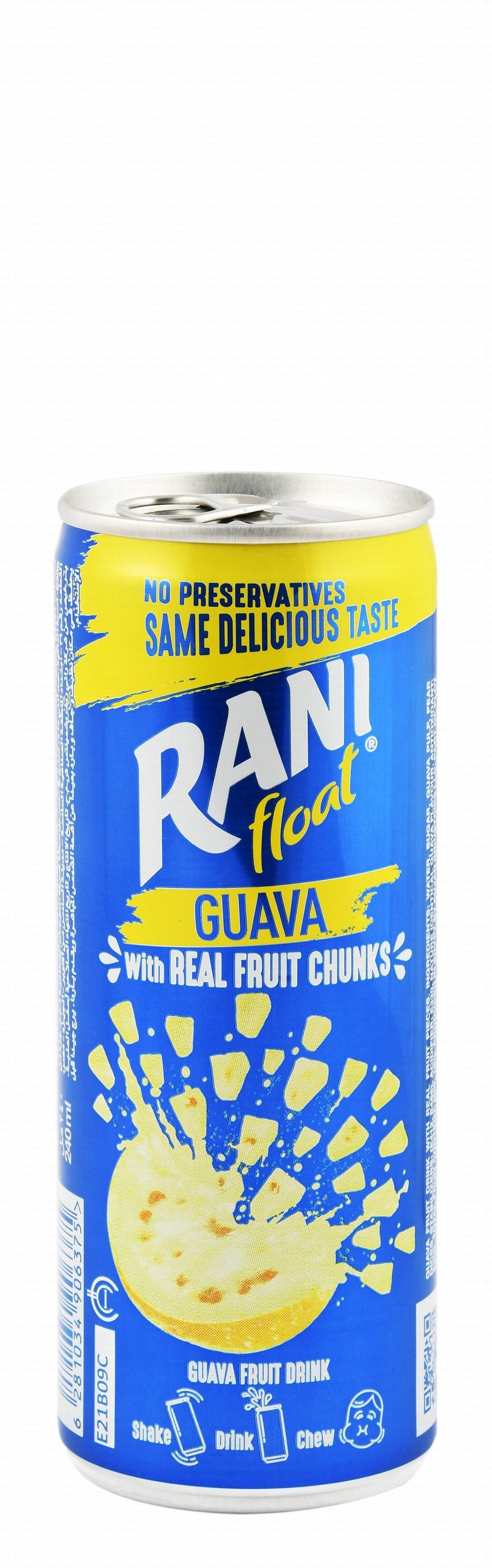 RANI GUAVA FLOAT 240ML