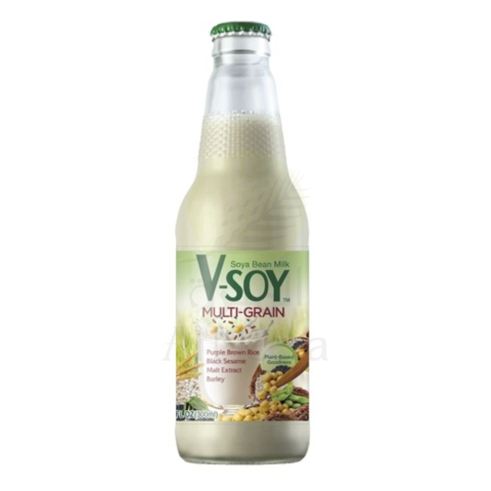 V-SOY MULTI GRAIN SOYMILK 300ML